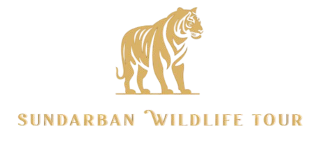 Exploring the Untamed Beauty of Sundarban and Its Wildlife ...